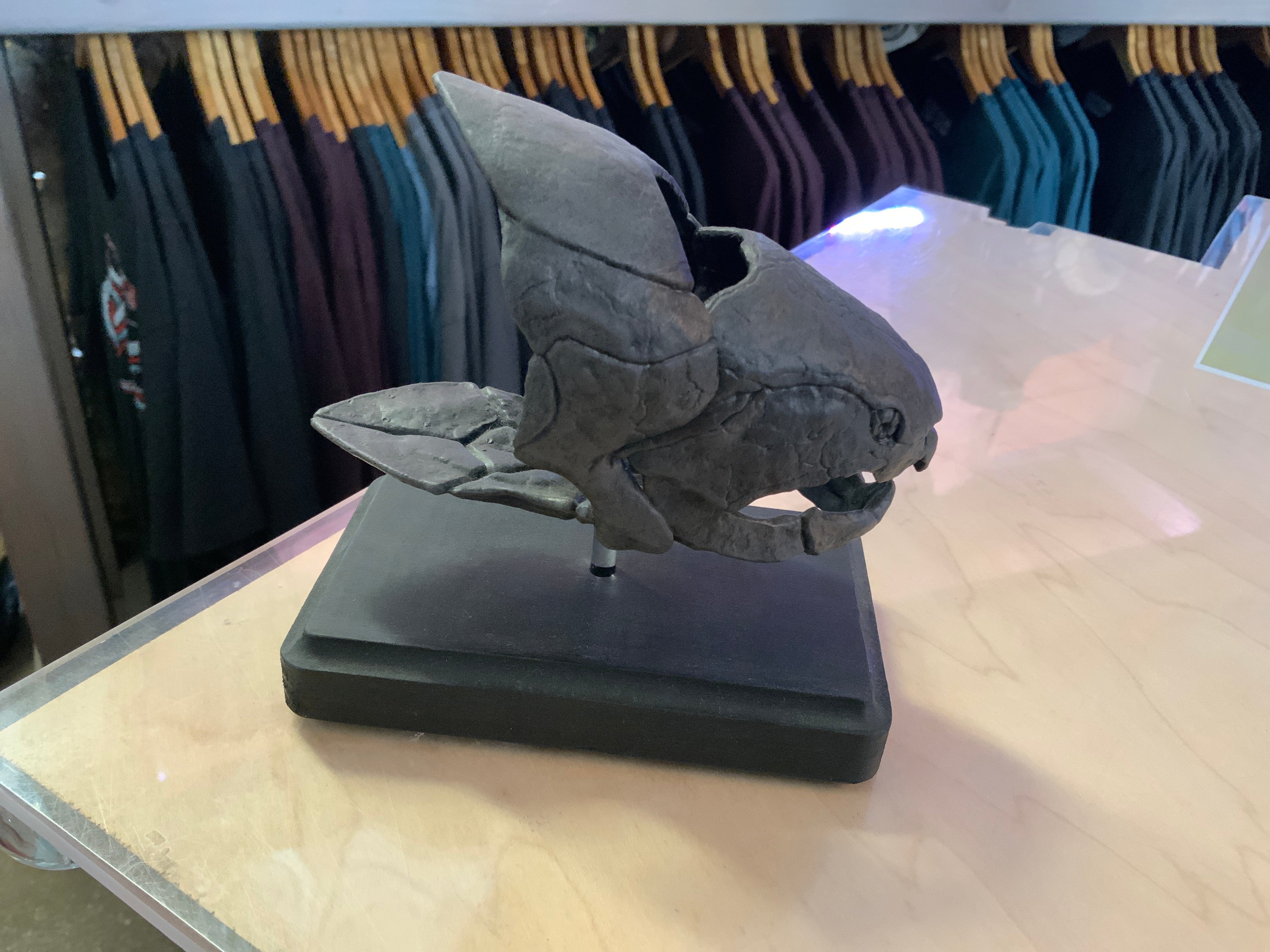 Dunkleosteus Skull Replica - Blue Dino – COTTON CRUSTACEAN